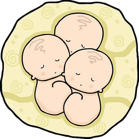 Triplets Pregnancy Stock Vectors Istock