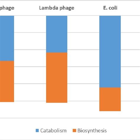 Gibbs Energies Of Catabolism Biosynthesis And Metabolism Of T4 And