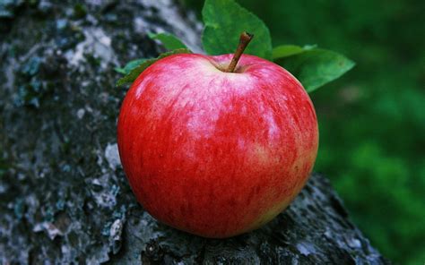 Apple Fruit Wallpapers Top Free Apple Fruit Backgrounds Wallpaperaccess
