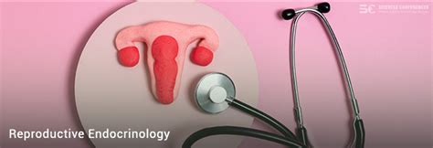 Reproductive Endocrinology Gynaecology Summit 2026 Malaysia