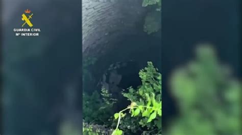 Un Hombre Atrapado En Un Pozo Es Encontrado Con Vida