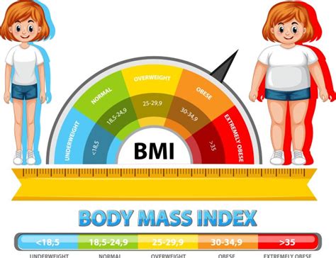 Visual Representation Of Bmi Categories And Ranges