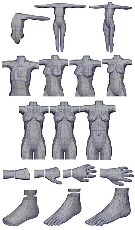 Topology Referenceguide Intro To 3d 60125
