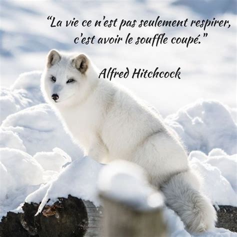 Épinglé Par Marie Sur Mes Enregistrements Citation Humanité Citation Animaux Citation Chat