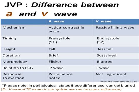 Jugular Vein Waves