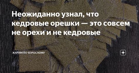 Неожиданно узнал что кедровые орешки — это совсем не орехи и не кедровые Жарим по взрослому