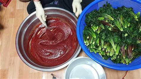 제722 회 2023 04 24 엄나무 순 고추장 장아찌 맛있게 만드는 방법입니다 Youtube