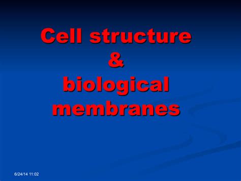 Solution Lec 1 Cell Structure Presentation Studypool