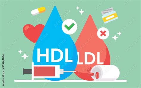 Types Of Cholesterol Comparison With Hdl And Ldl Good Hdl And Bad Ldl Cholesterol Health