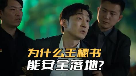 《狂飙》为什么王秘书能安全落地？毕竟他可是赵立冬的秘书 知乎