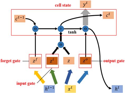 The Sequential Stages Of The Western Blot Process