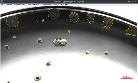 Imagej Macro Help Image Analysis Imagesc Forum