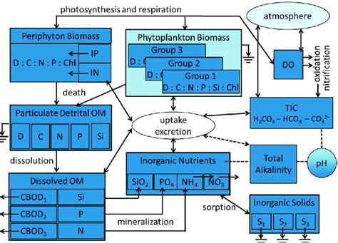 Schematic Representation Of The Wasp Water Quality Model Download