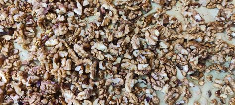 Walnut Giri White Broken 500gm Al Zameendar