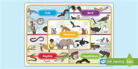 Animals Display Poster