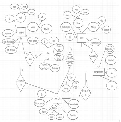 Solved Create Constraints Domain Constraints Entity