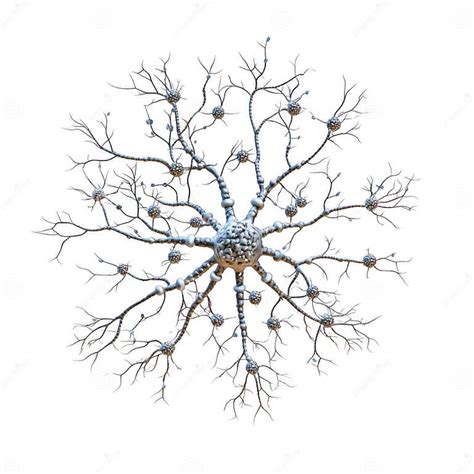 Intricate Neural Network Illustration With Branching Axons And Synapses On White Background