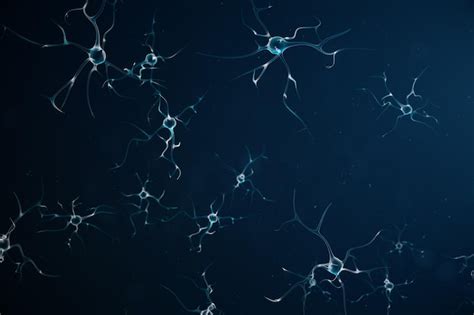 연결 매듭이 있는 신경 세포의 개념적 그림입니다 전기 화학 신호를 보내는 시냅스와 신경 세포 전기 펄스가 있는 상호 연결된 뉴런의 뉴런 3d 일러스트레이션 프리미엄 사진