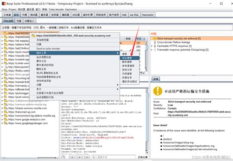 信息泄露漏洞 5个实验（全） 云社区 华为云