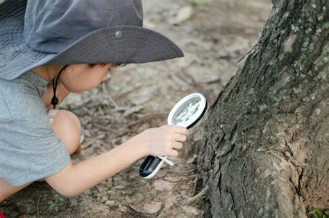 Tree Exploration Images Free Download On Freepik