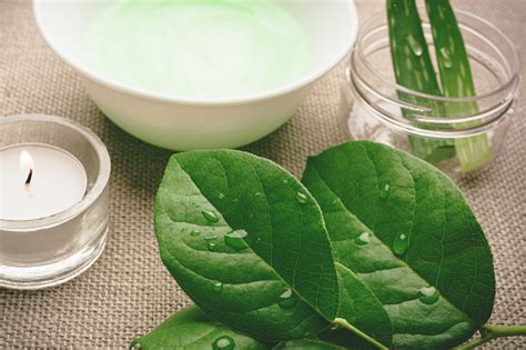 천연 알로에 베라 화장품 핸드메이드 스킨 케어 제품 얼굴 치료 준비 및 피부 상쾌한 크림 배경 천연 화장품과 플랫 레이 조성물 건강관리와 의술에 대한 스톡 사진 및 기타