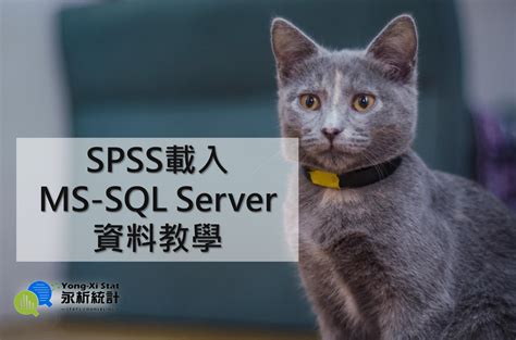 【spss載入ms Sql Server資料教學】 永析統計及論文諮詢顧問