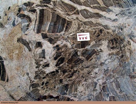 Injection Complex Agmatite Prato Pluton Borborema Province