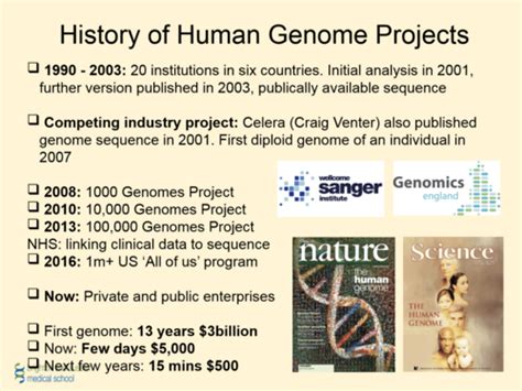 The Human Genome Flashcards Quizlet