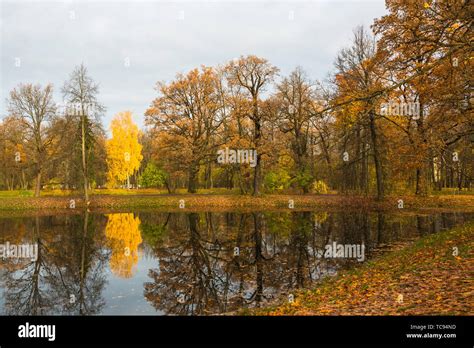 Beautiful Golden Autumn Scenery Of The Imperial Village Of St
