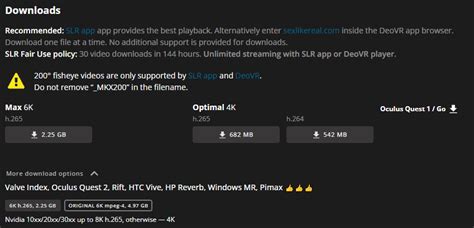 Videos With Mp4v Codecs Doesnt Play · Issue 1051 · Xbappsxbvr · Github