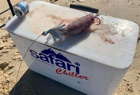 Assassin Tackle A Good Looking Throw Bait To Be Thrown Facebook