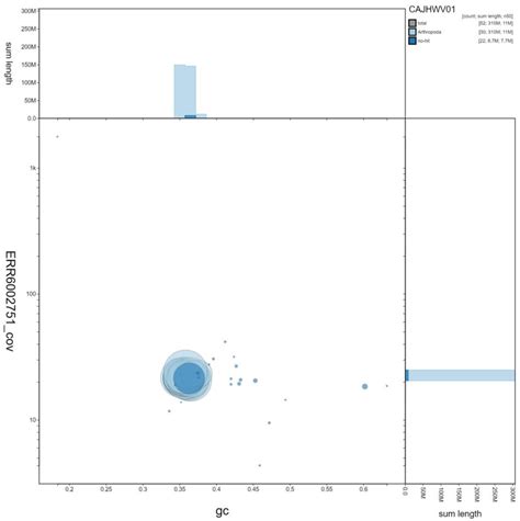Genome Assembly Of Thyatira Batis Ilthybati11 Gc Coverage Download Scientific Diagram