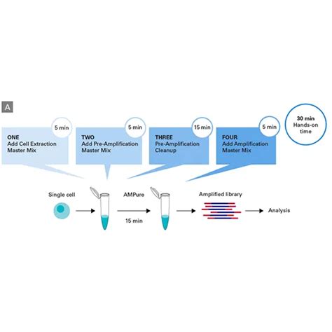 High Resolution HLA Typing Test In Delhi NCR India GDIC