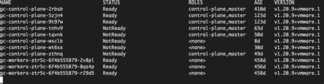 vsphere with tanzu using nsx t safely… virtual graveyard