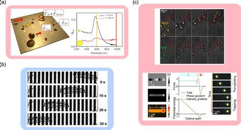 Strategies For Analyte Transport And Sorting By Exploiting Phase Download Scientific Diagram