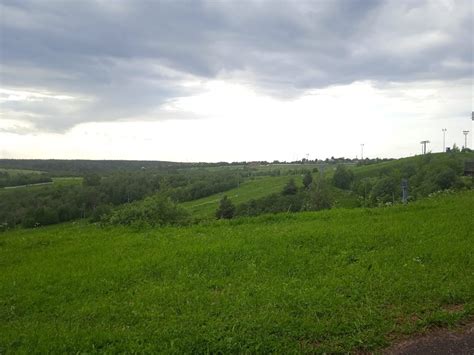 Природа Фон Зеленые фоны Природа Фон