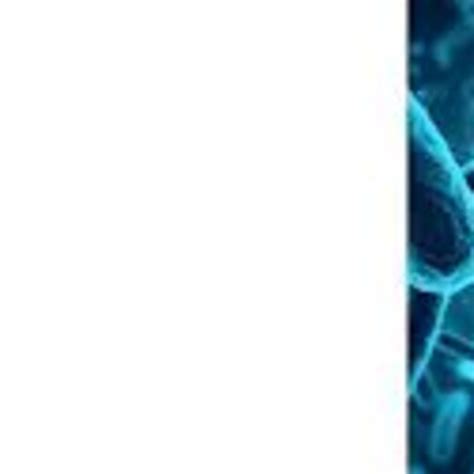 Radja Zineddine Mohamed Khider University Biskra Department Of