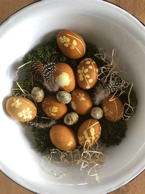 Ostereier Mit Naturfarben Färben Amalienwohnzimmer