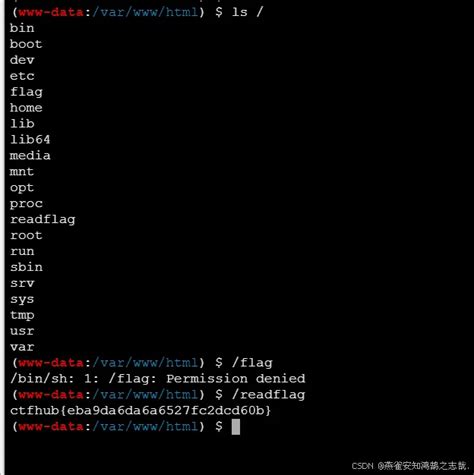 ctfhub web进阶 php bypass disable function bypass iconv 2 csdn博客