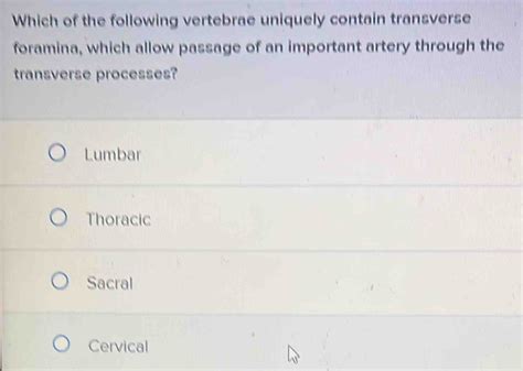 Solved Which Of The Following Vertebrae Uniquely Contain Transverse