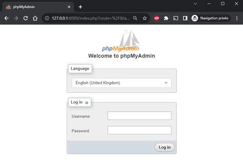 using adminer pgadmin or phpmyadmin to access your docker database
