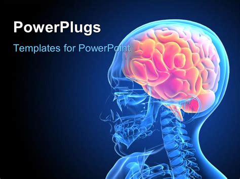 PowerPoint Template X Ray Depiction Of A Human Head With Brain