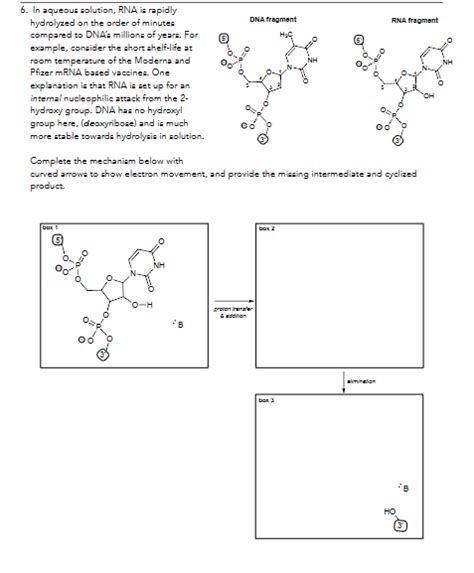 Solved 6 In Aqueous Solution Rna Is Rapidly Hydrolyzed On