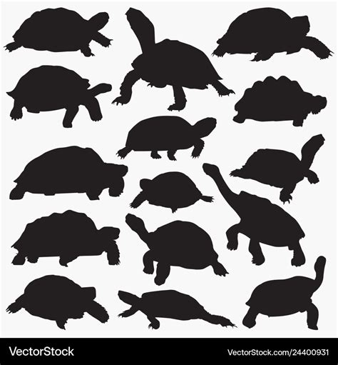 Tortoise Vector