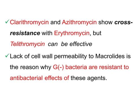 Macrolidespptx