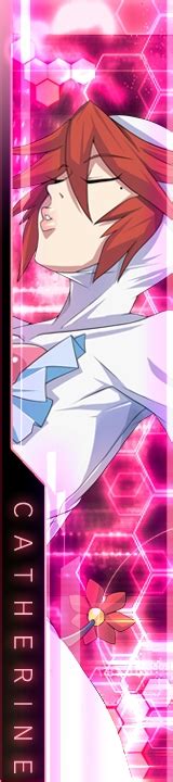 Catherine Chaos Code