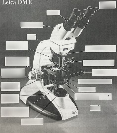 Compound Microscope Diagram Diagram Quizlet
