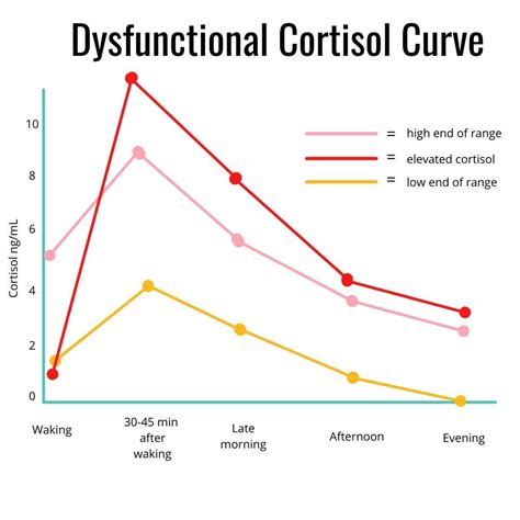 5 Natural Ways To Lower Cortisol Top Foods That Lower Cortisol Fwdfuel Sports Nutrition