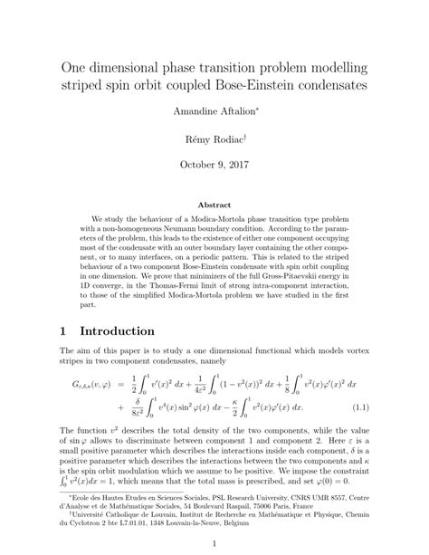 pdf one dimensional phase transition problem modeling striped spin