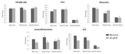 Validation Of Microarray Data By Quantitative Real Time Rt Qpcr